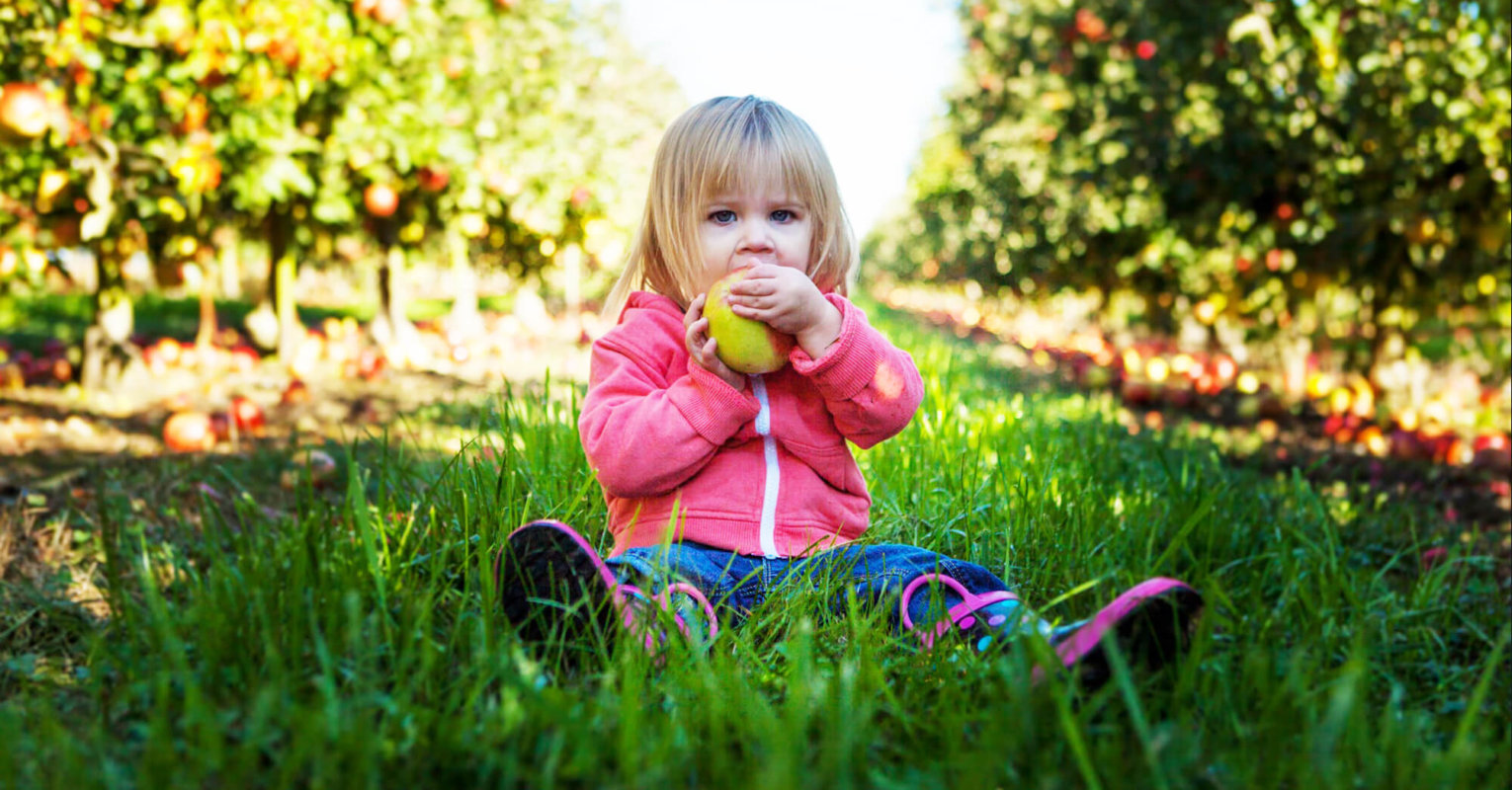 What Should I Do If My Child Bites? - PAL - Parenting Assistance Line